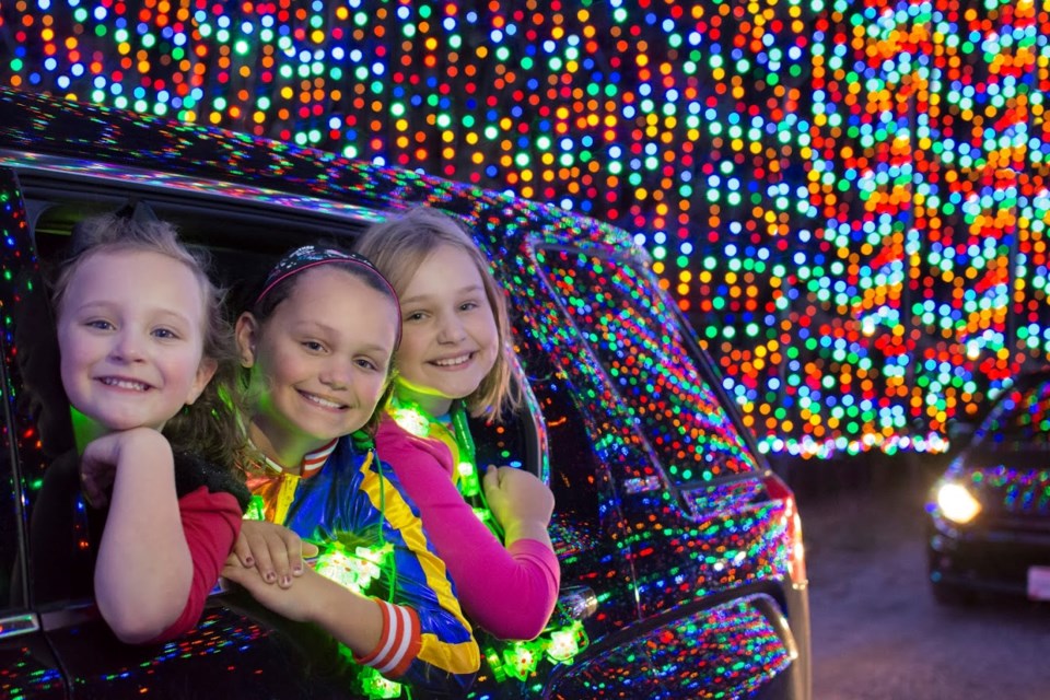 Suwannee Lights | Over 12+ million lights!