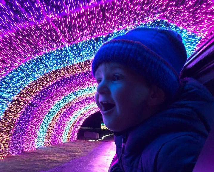 Suwannee Lights | Over 12+ million lights!